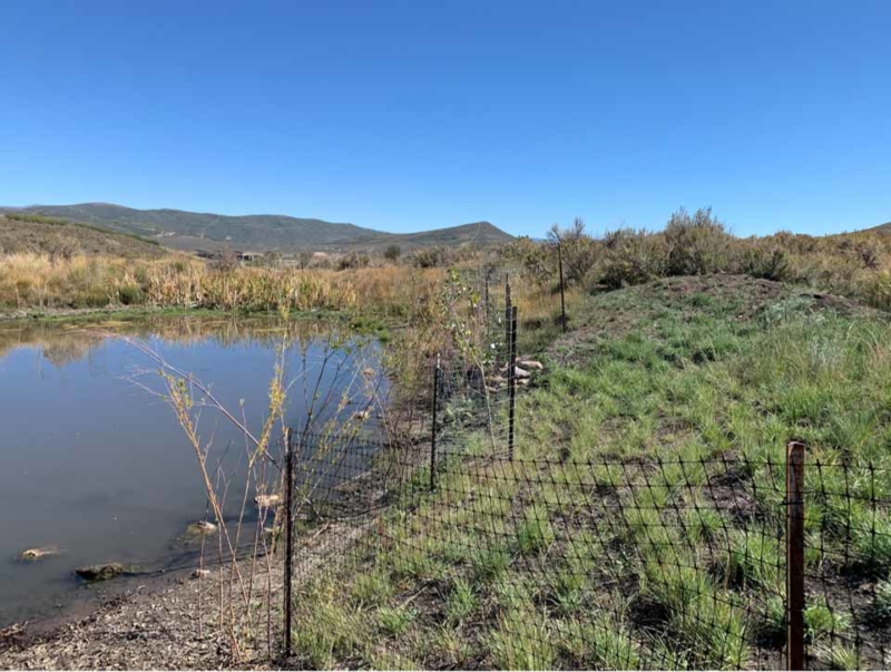 Round Valley Pond Restoration - Ecology Bridge Consulting - Park City, UT