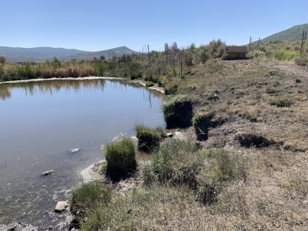 Round Valley Pond Restoration - Ecology Bridge Consulting - Park City, UT