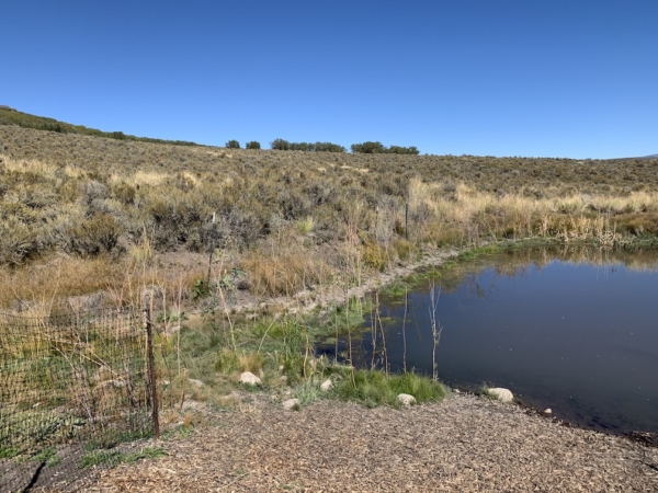 Round Valley Pond Restoration - Ecology Bridge Consulting - Park City, UT
