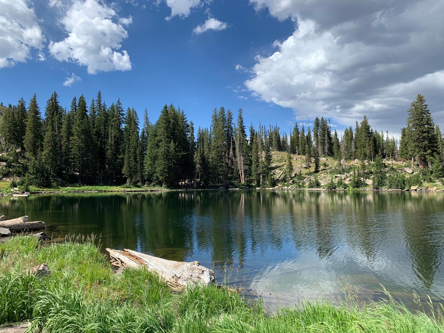 Home - Ecology Bridge Consulting - Park City, UT