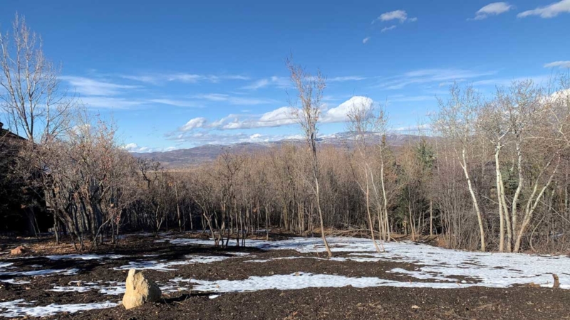 Home - Ecology Bridge Consulting - Park City, UT